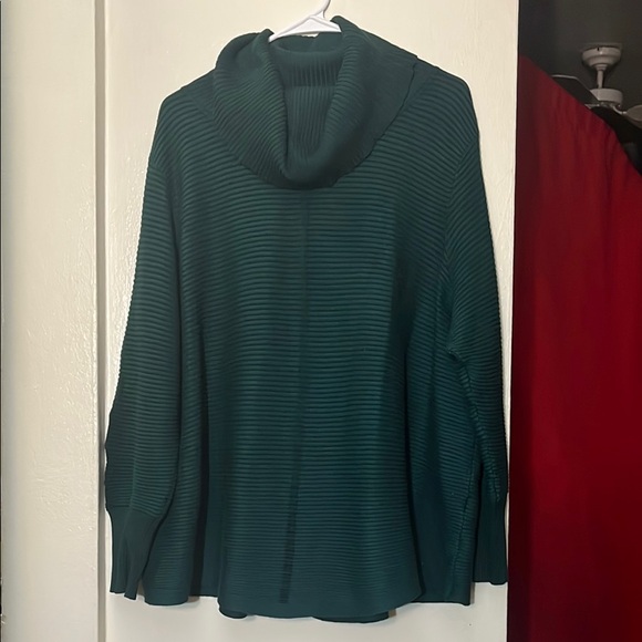 Cyrus | Sweaters | Cyrus Green Cowl Neck Sweater With Relaxed Fit ...